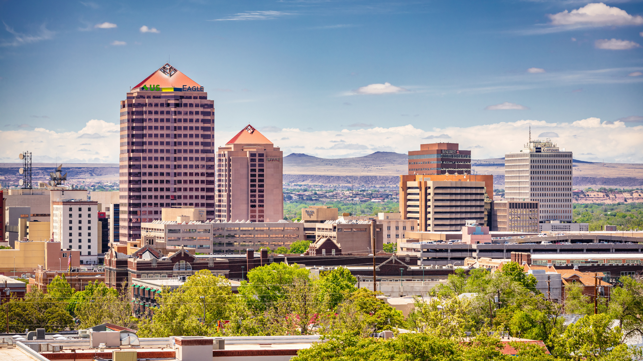 New Mexico General Contractor License: Your Complete Guide